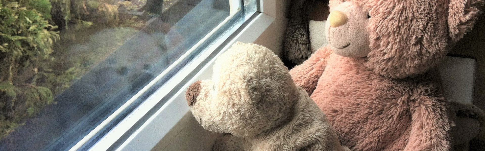 Het BSR-model verklaart waarom de ene Nederlander heel anders reageert ...