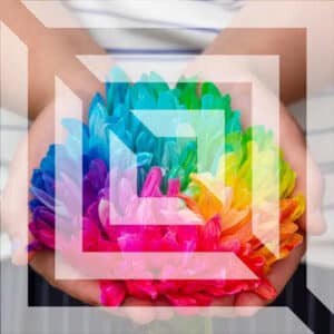 Doe de test: Ontdek de kracht van BSR